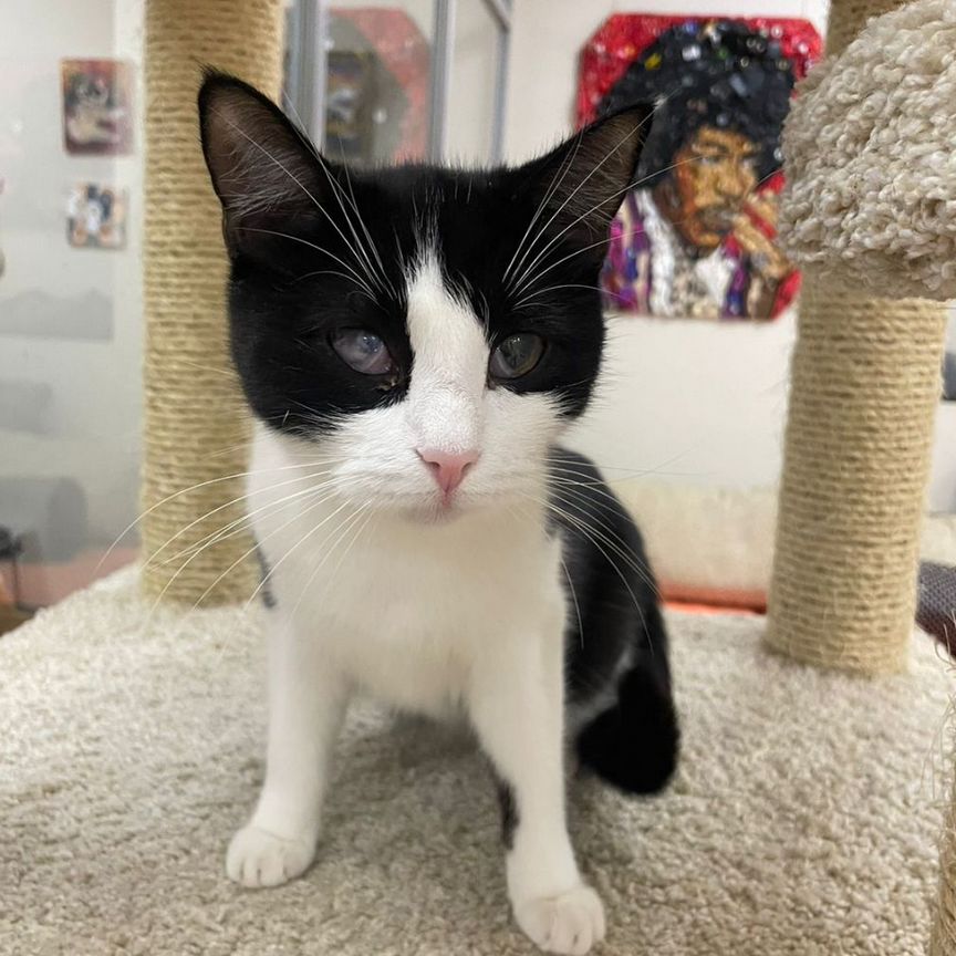 Не красивая