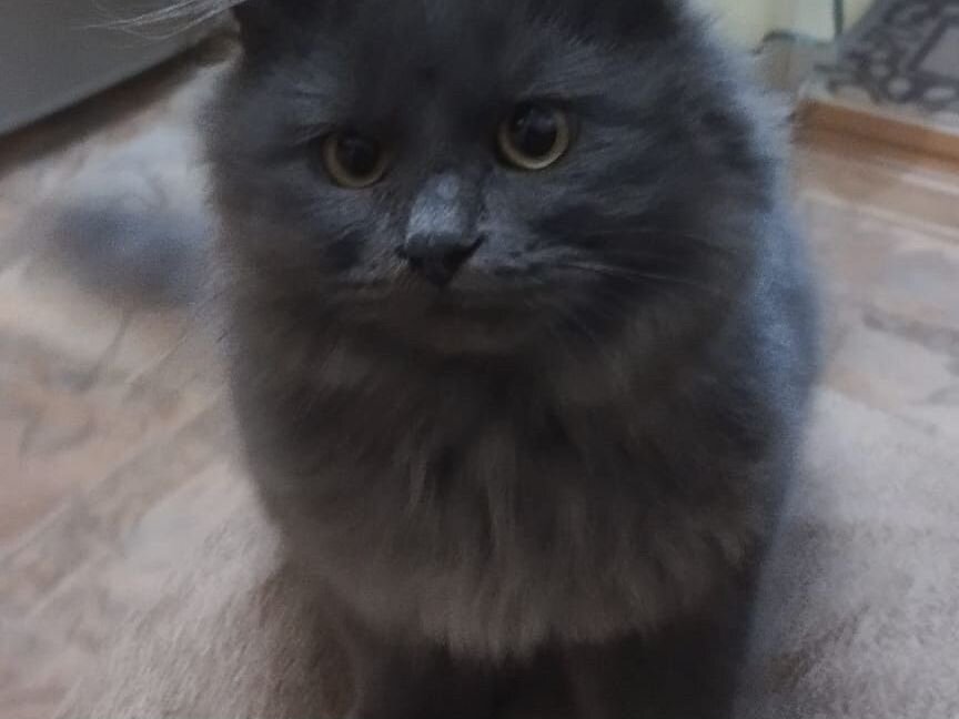 Поигрались и выбросили