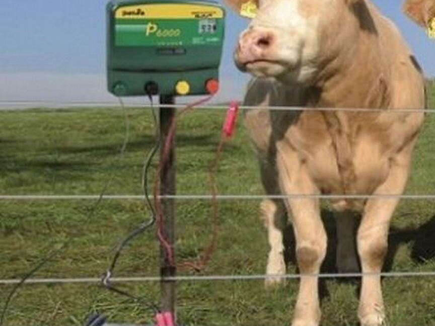 Электропастух