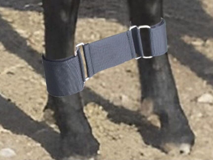 Путы доя коз