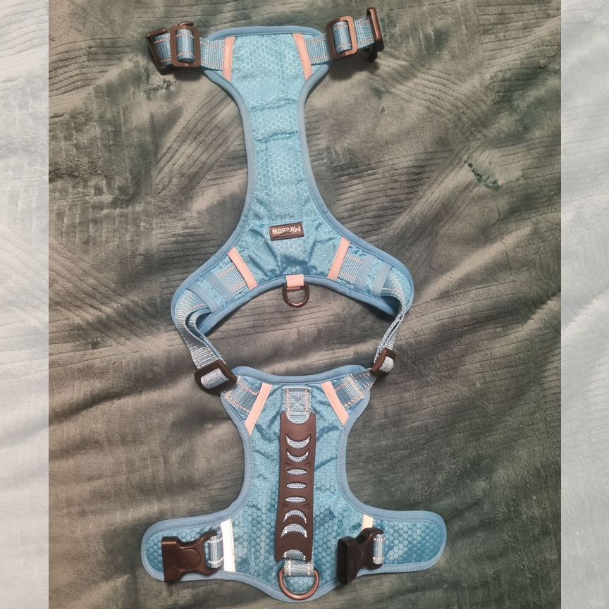 Шлейка для собак