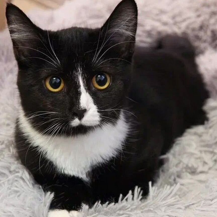 Прекрасная девочка