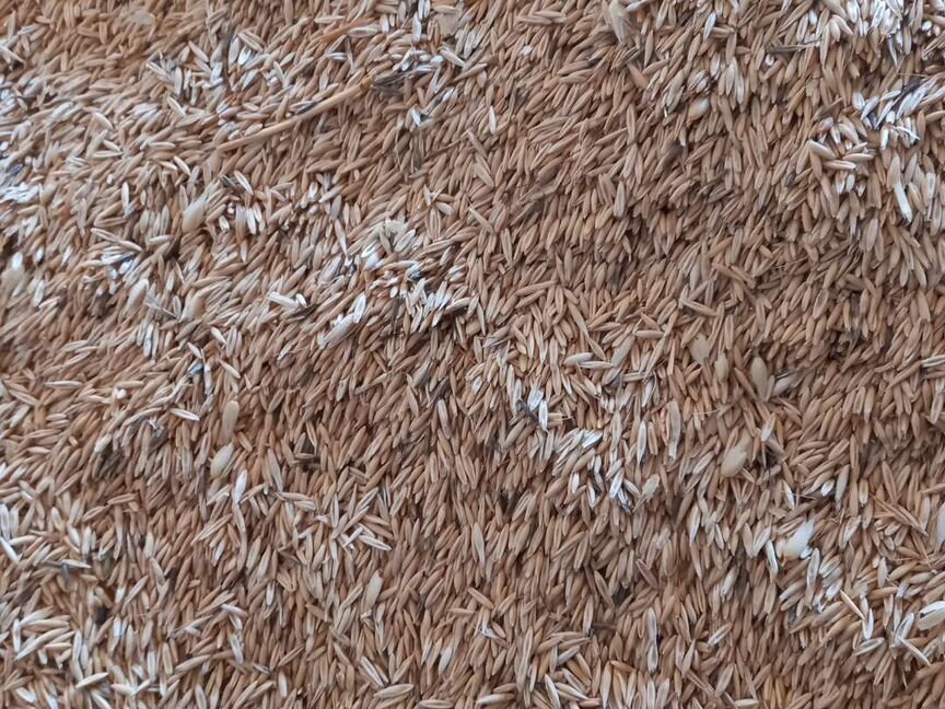 Овес, драбленка, гранулы, комбикорм