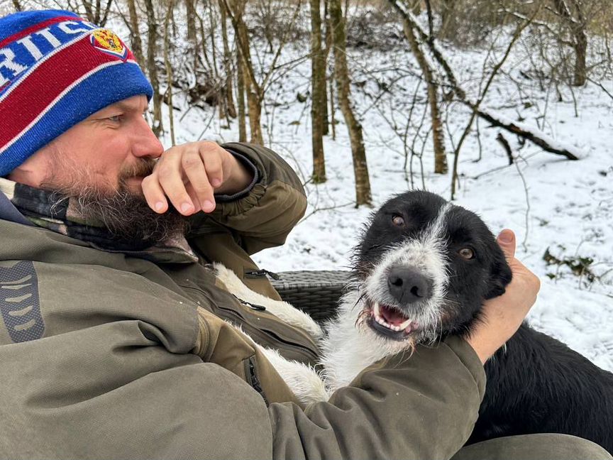 Собака метис драатхара бесплатно