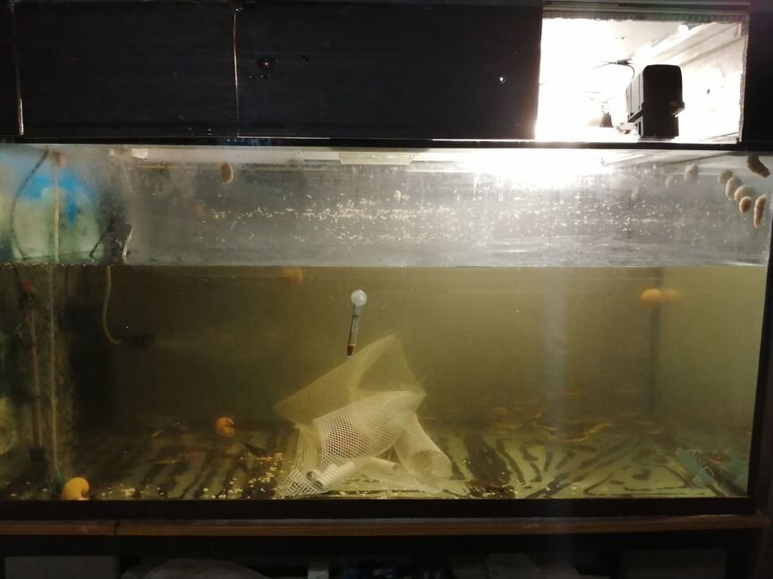 Продам аквариум 420 литров