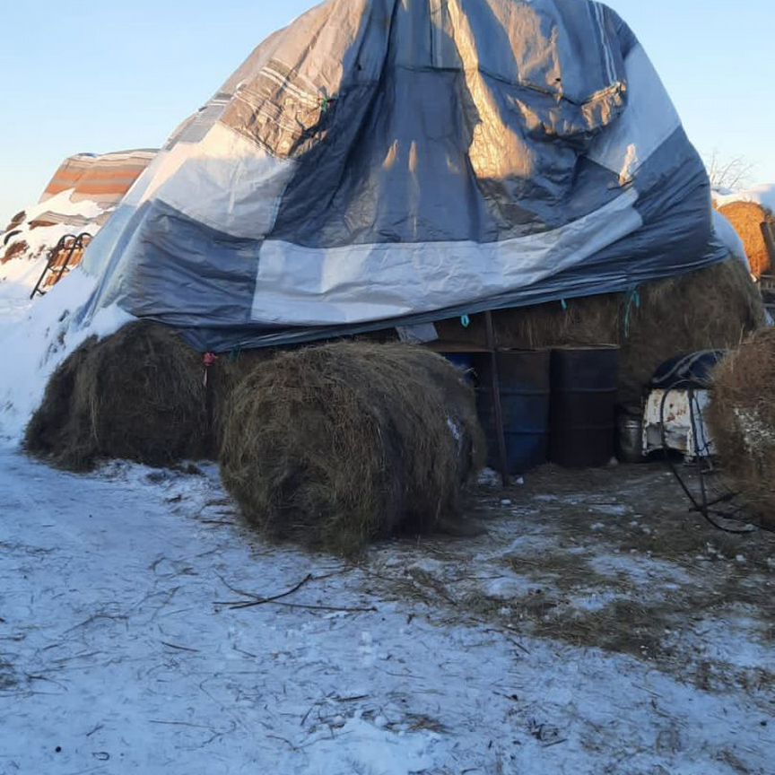 Продам сено в тюках