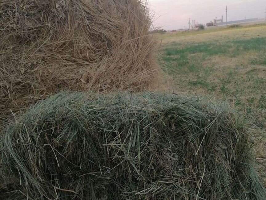 Сено в тюках