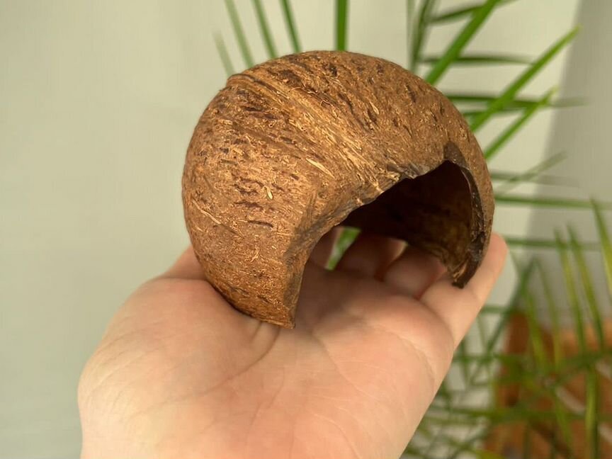 Укрытие для рептилий