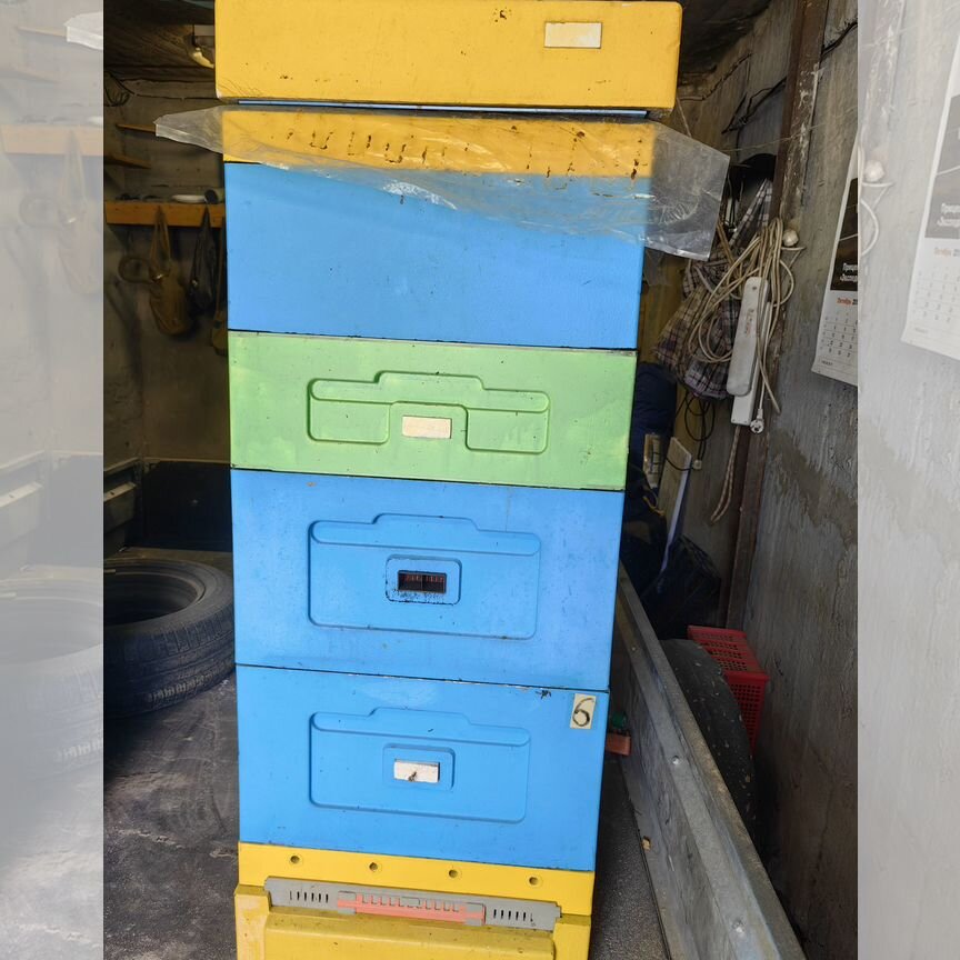 Ульи лысонь