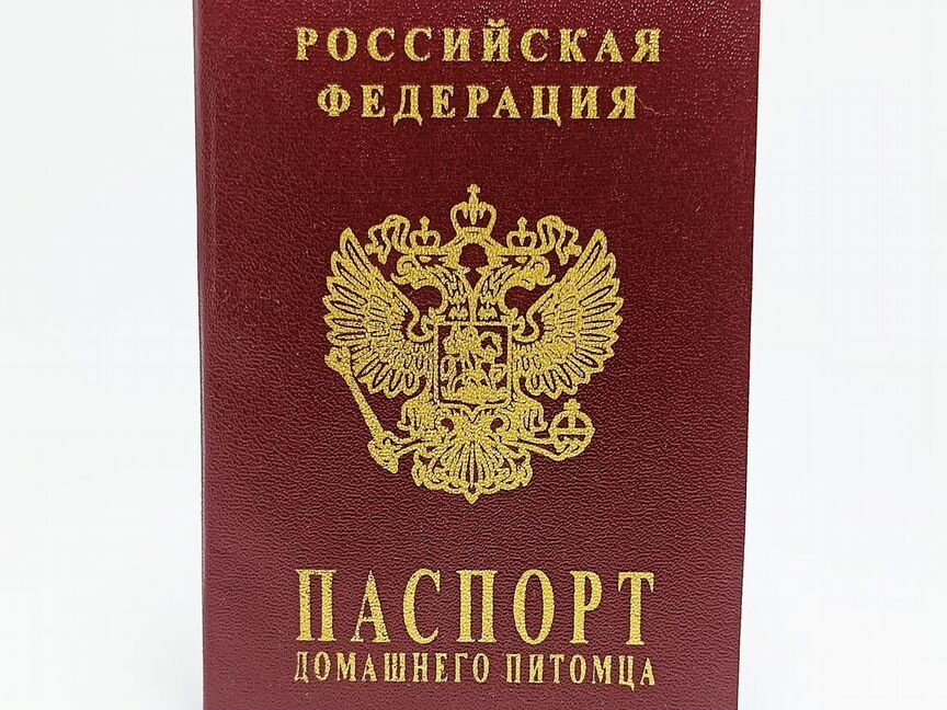 Паспорт Домашнего Питомца