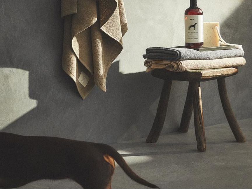 Шампунь для собак Zara home