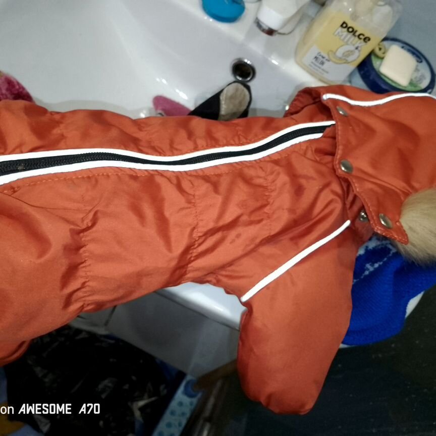 Комбинезон и другое для собаки бесплатно