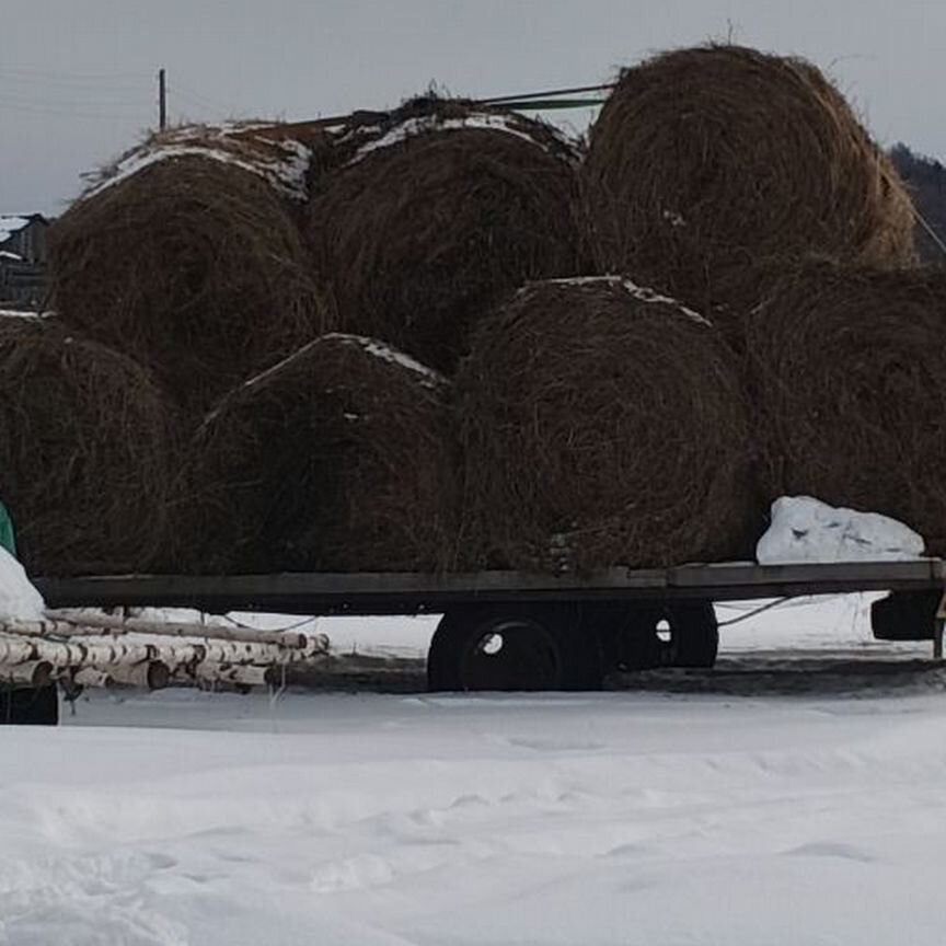 Продам сено в рулонах