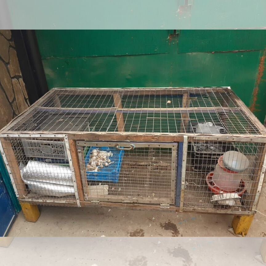 Продам клетку для содержания цыплят и брудер