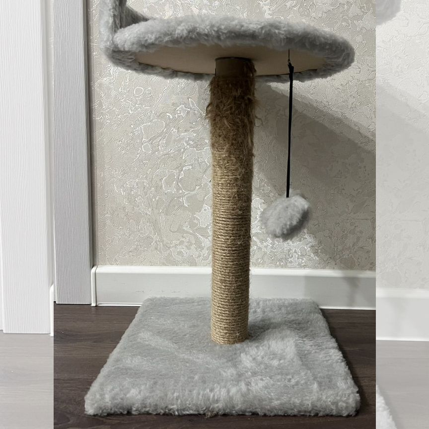 Когтеточка