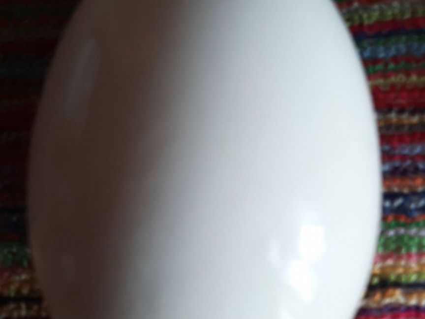 Яйцо гусиное