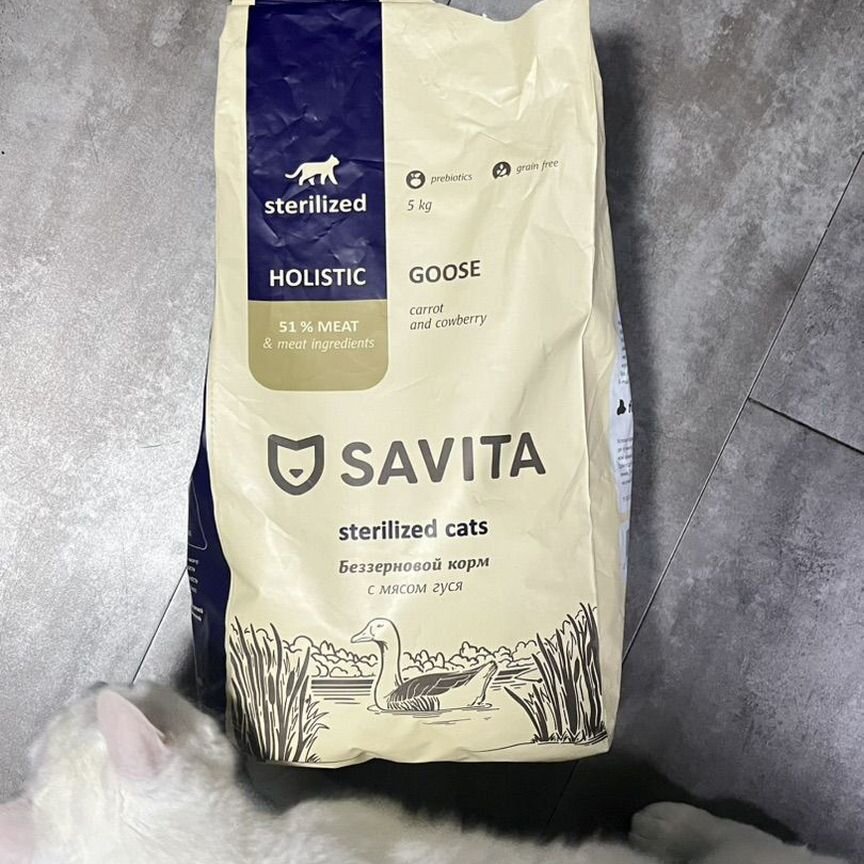 Корм савита для кошек