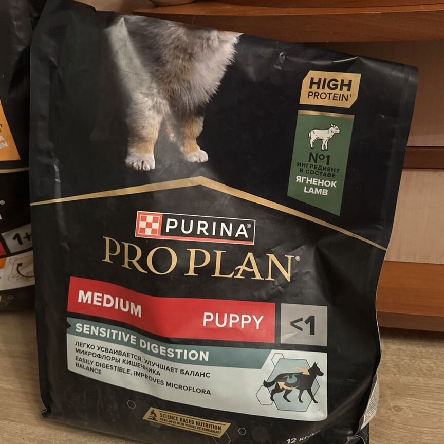 Корм для собак