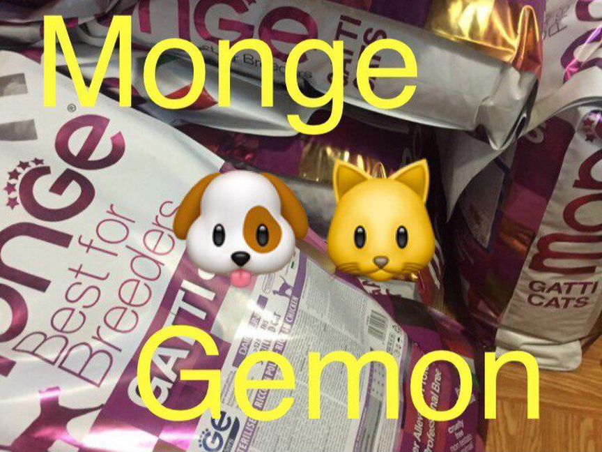 Корм для кошек и собак Gemon Monge альтернатива