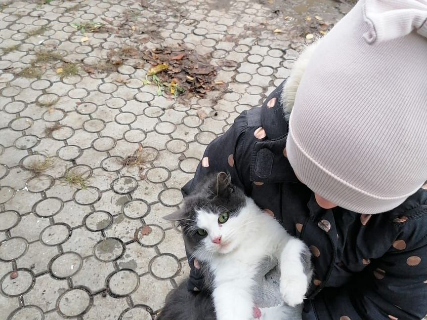 Отдаем в добрые руки -ответственным людям,котят
