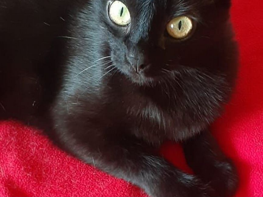 Подарите Луше дом