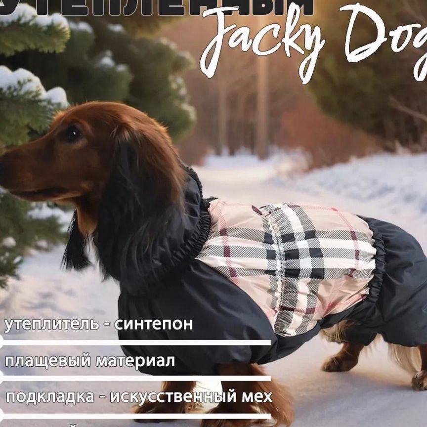 Комбинезон для таксы мальчика