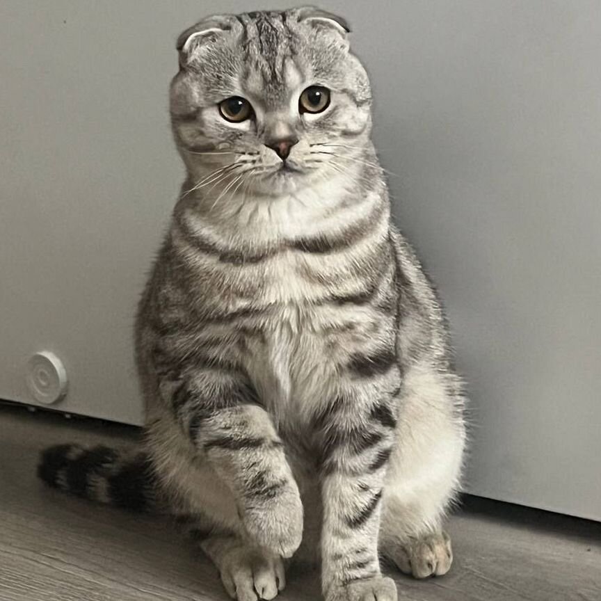 Вязка