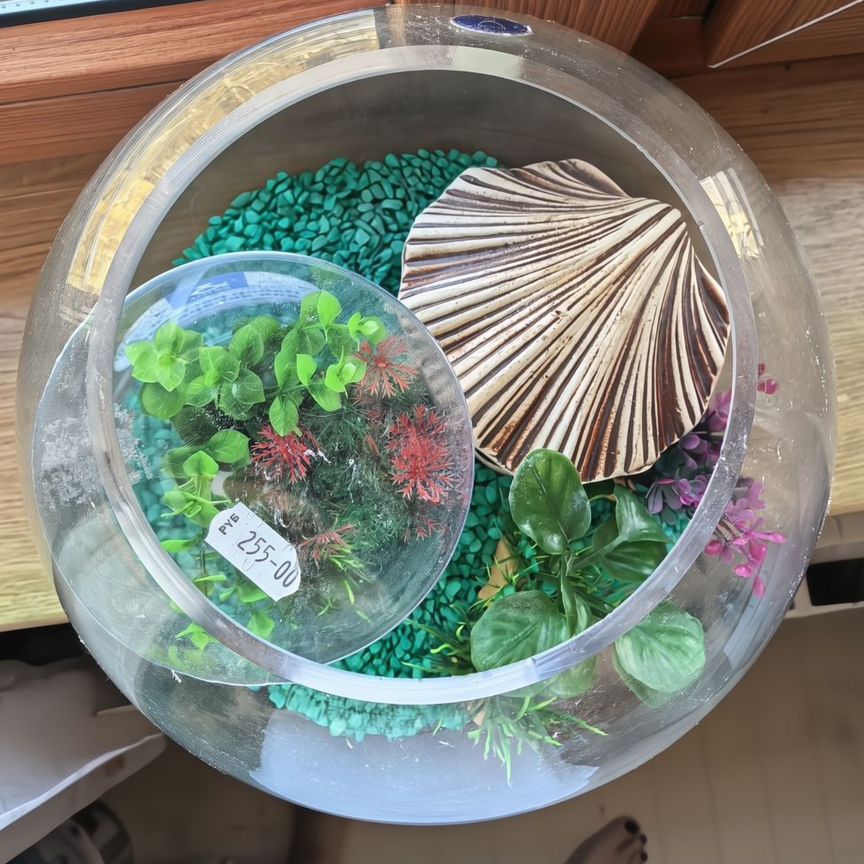 Аквариум круглый 5 литров