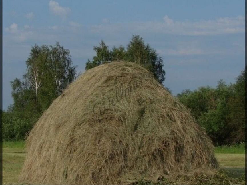 Сено луговое