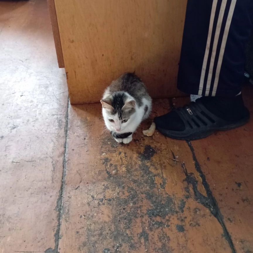 Ненужное наследство нуждается в помощи