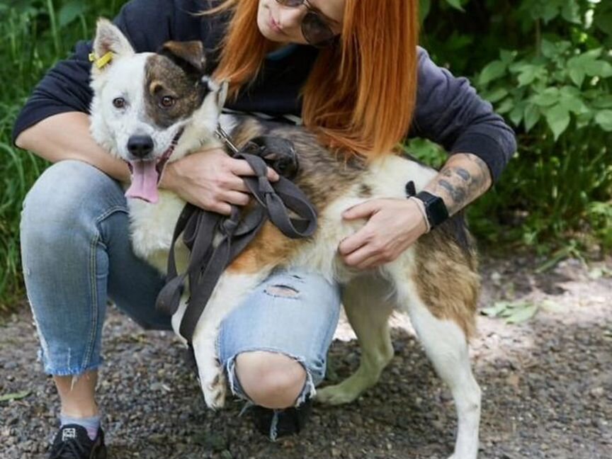 Веселый пират ищет дом