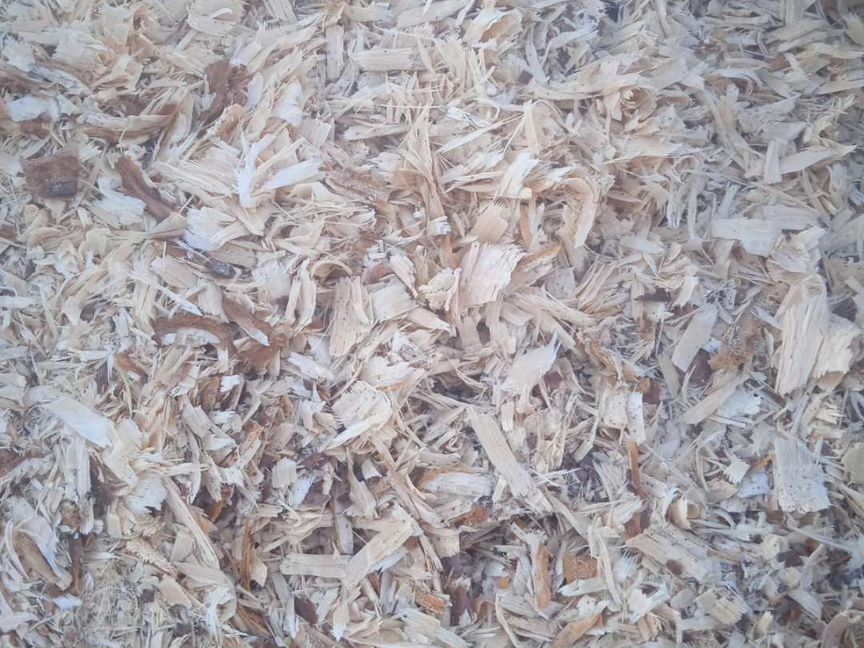 Щепа древесная сосна