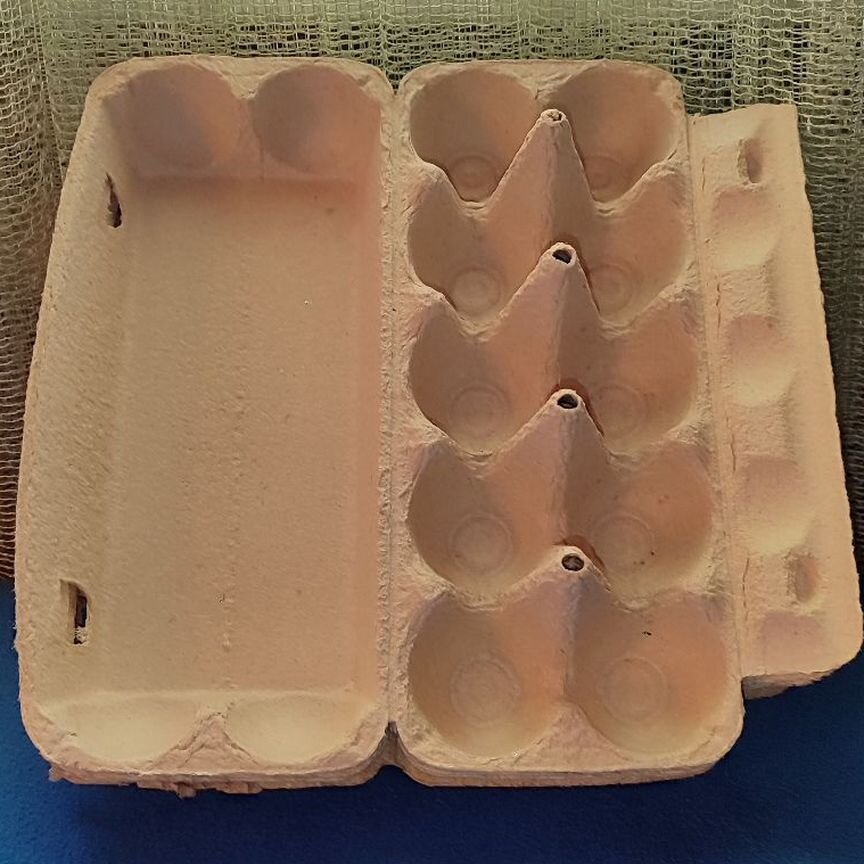 Лоток для яиц