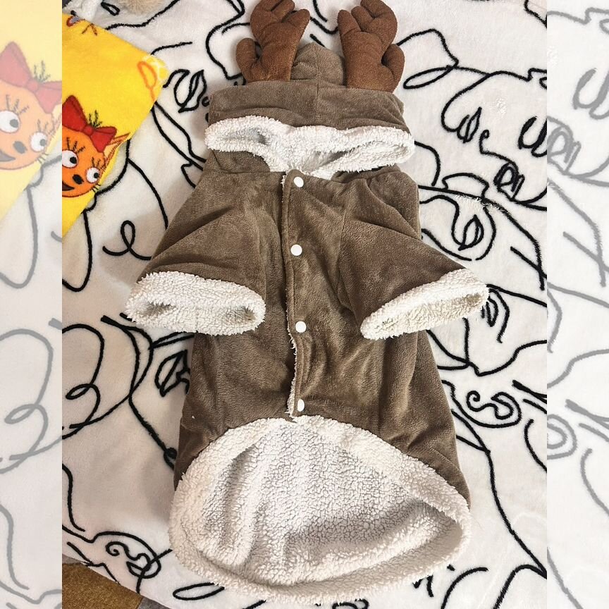 Одежда для собак