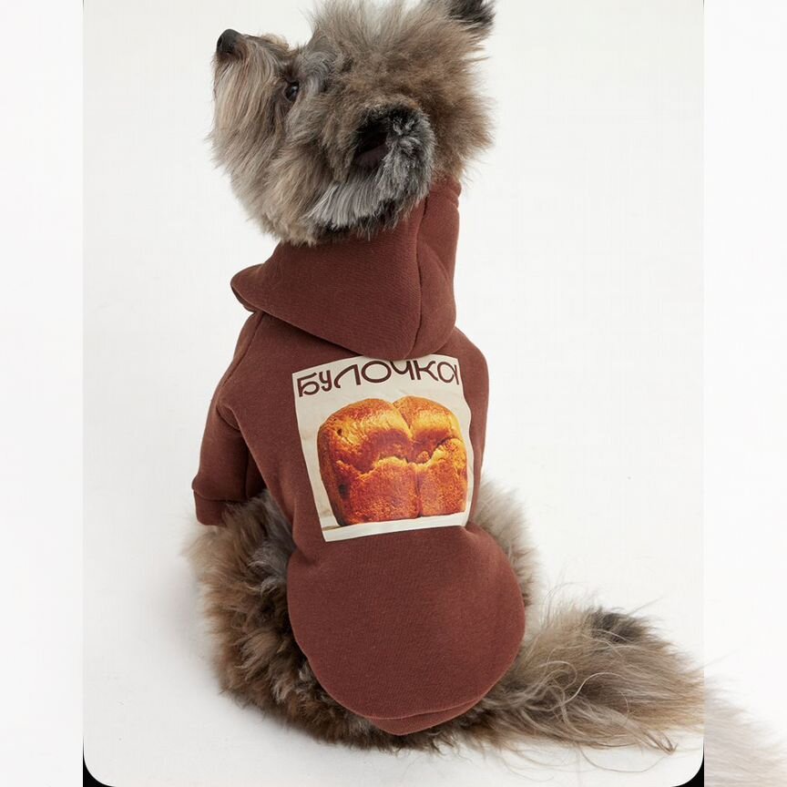 Толстовка для собак