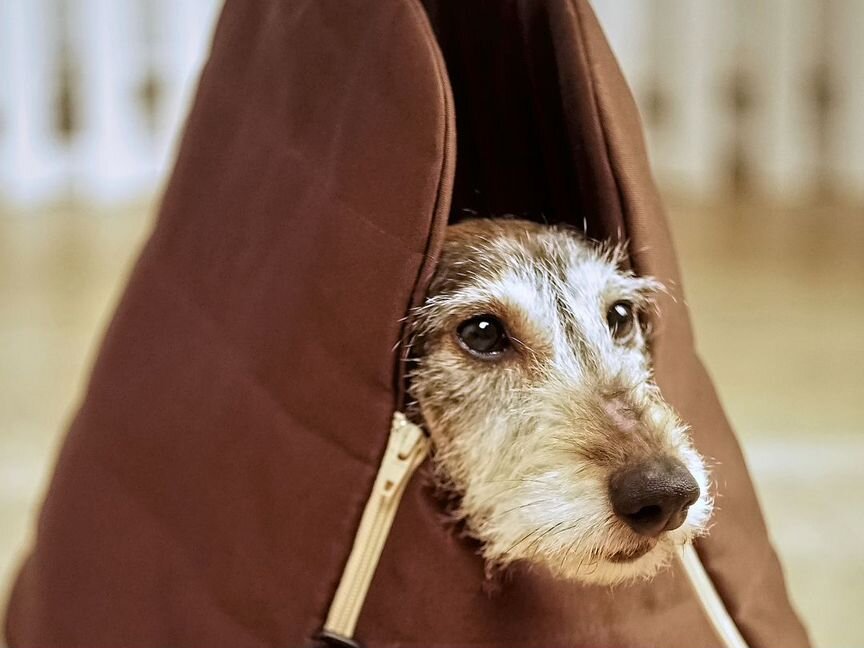 Авто-переноска сумка 3в1