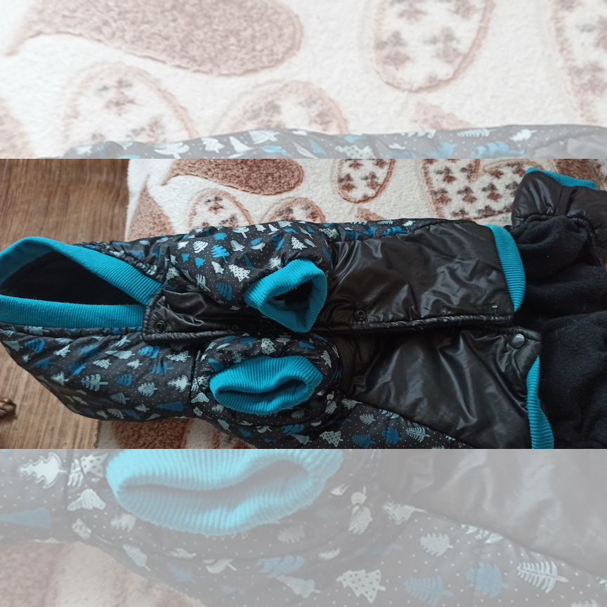 Одежда для собак