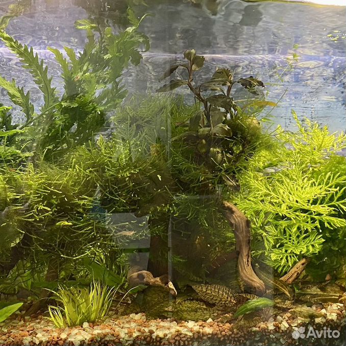 Излишки растений прополка