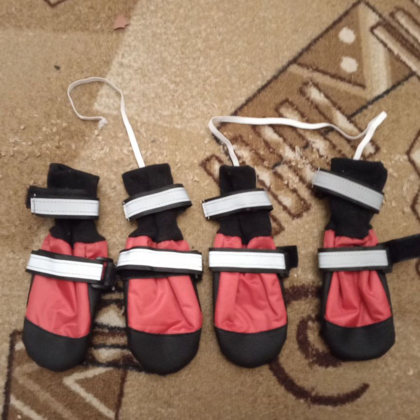 Обувь для собак