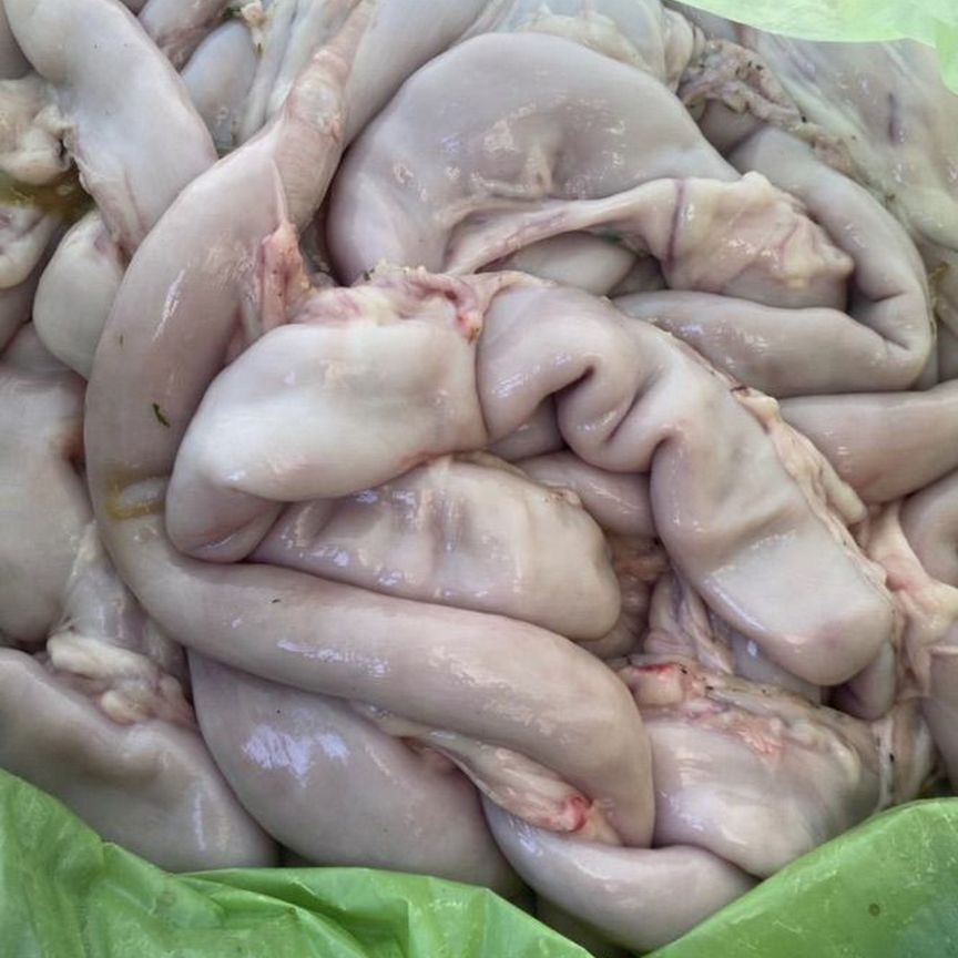 Кишки конские