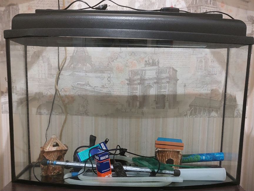 Аквариум телевизор 100 литров