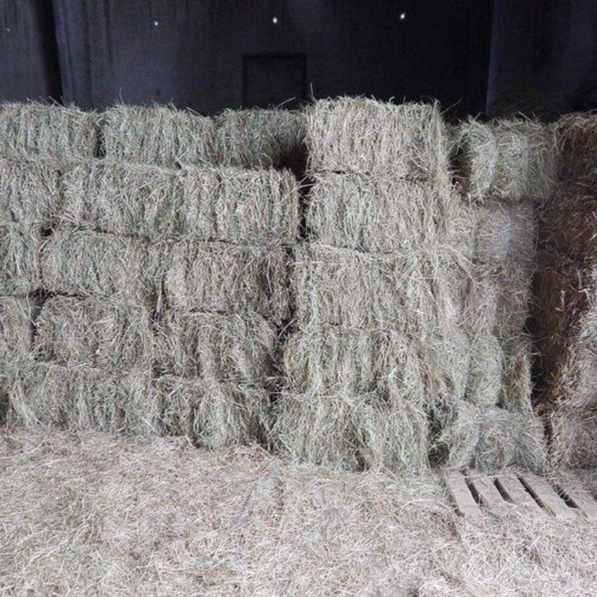 Сено калган