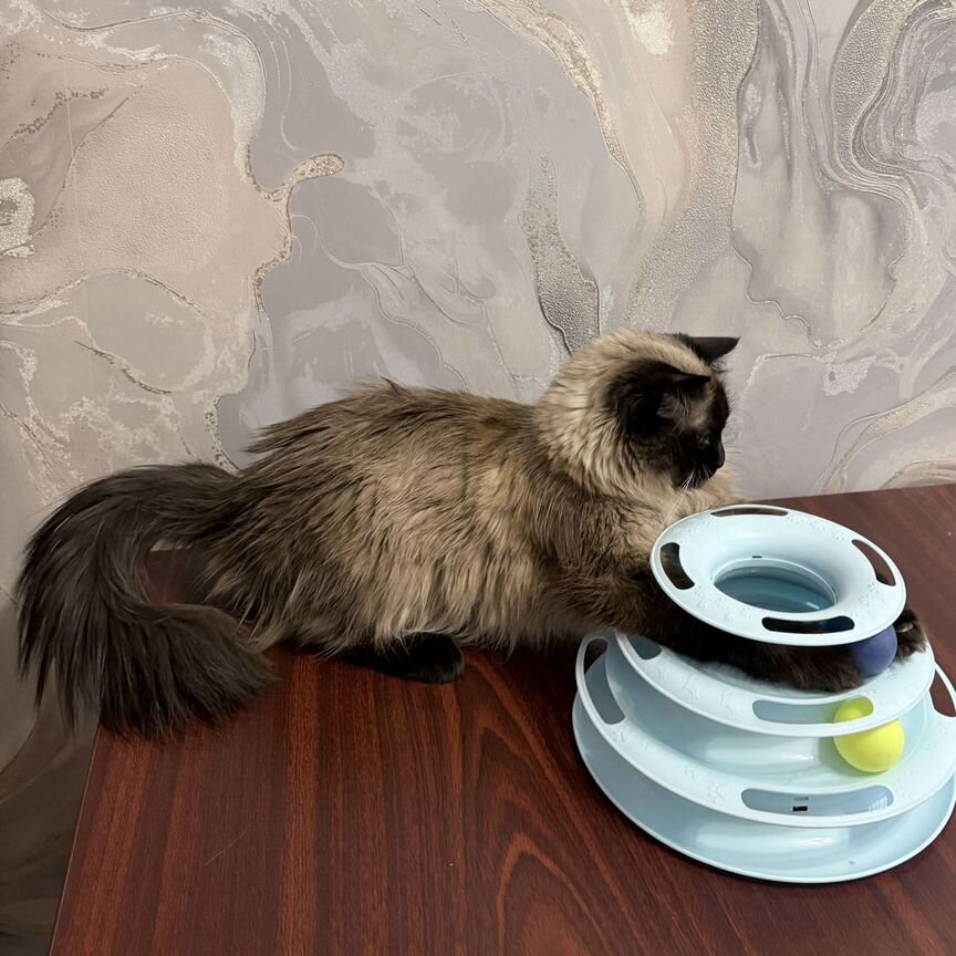 Игрушка для кота