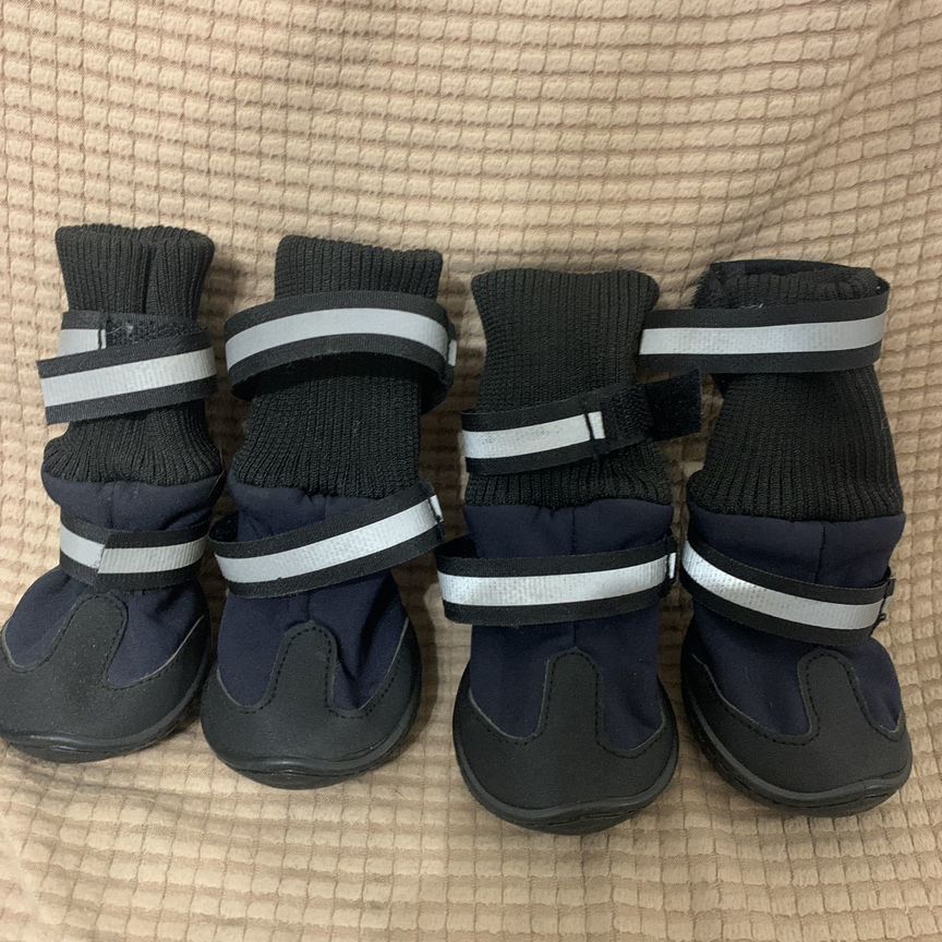 Обувь для цвергпинчера