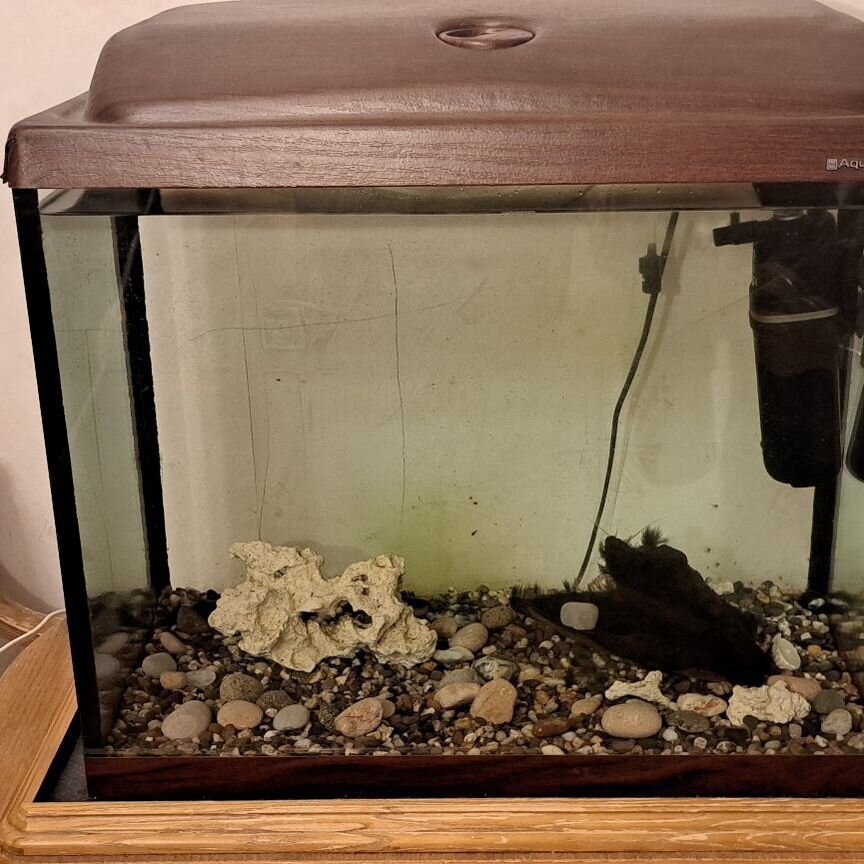 Аквариум 58 л "под ключ"