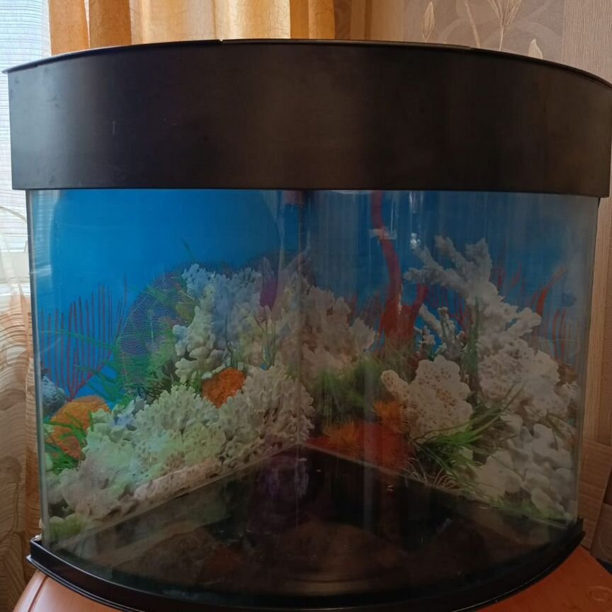 Аквариум угловой