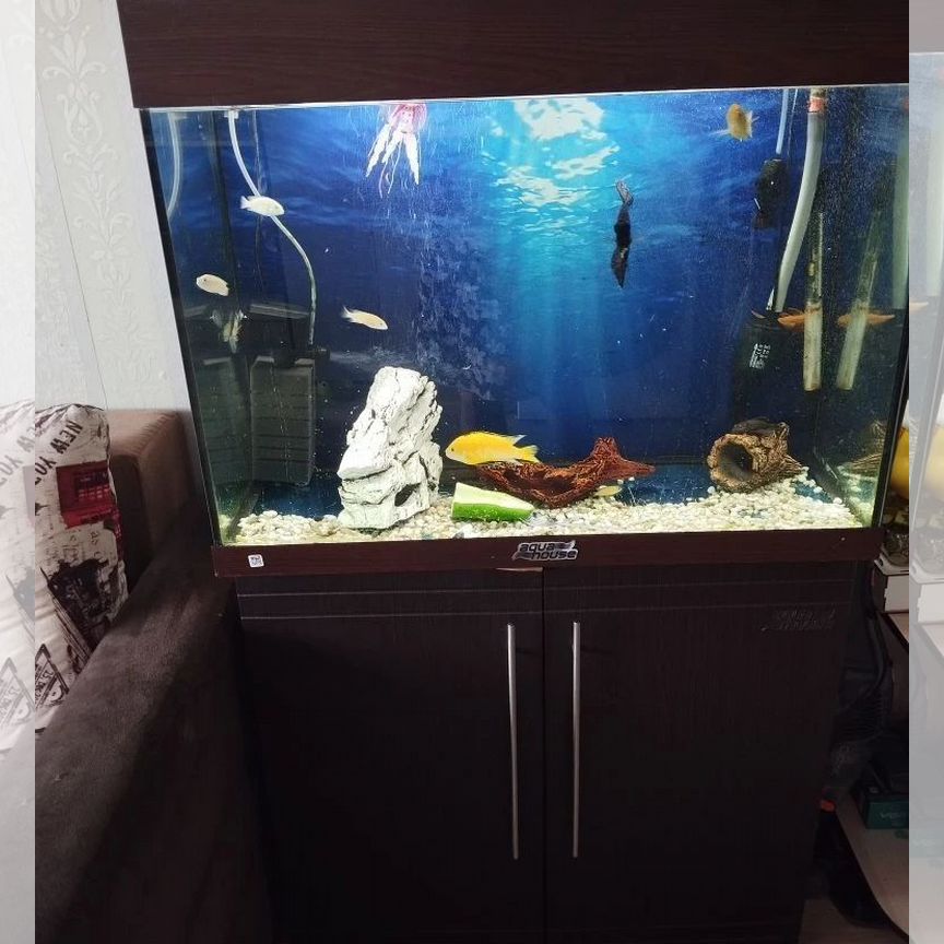 Аквариум с фильтром и светом