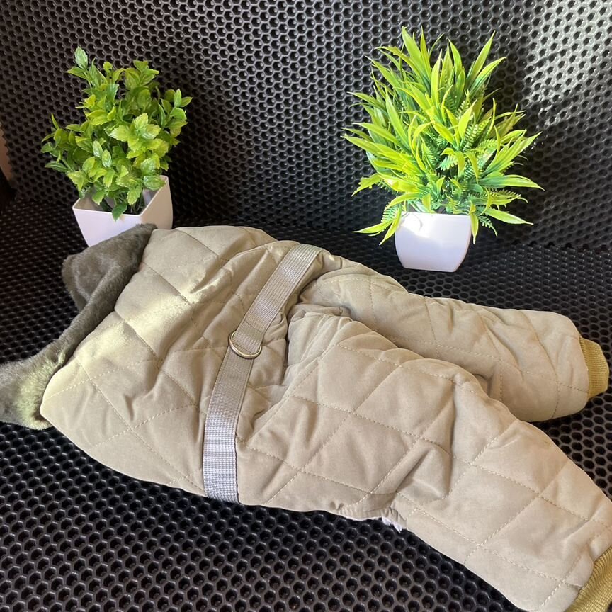 Костюм для собачки