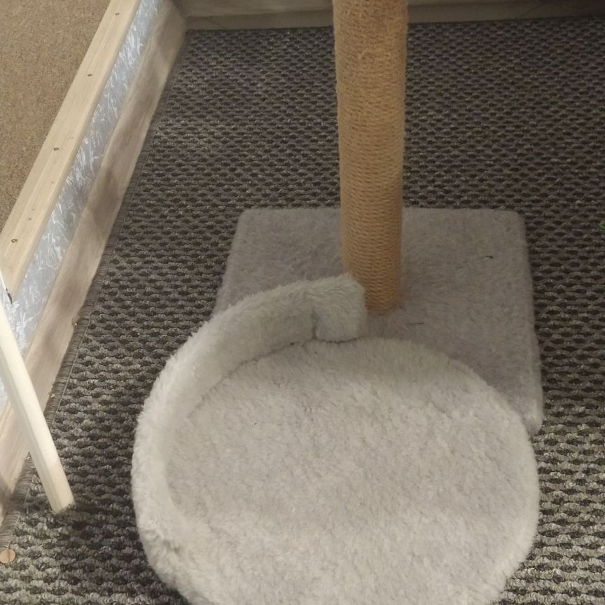 Когтеточка домик для кошки бу