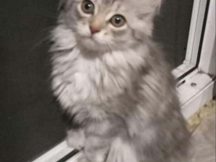 Если бы я жила дома